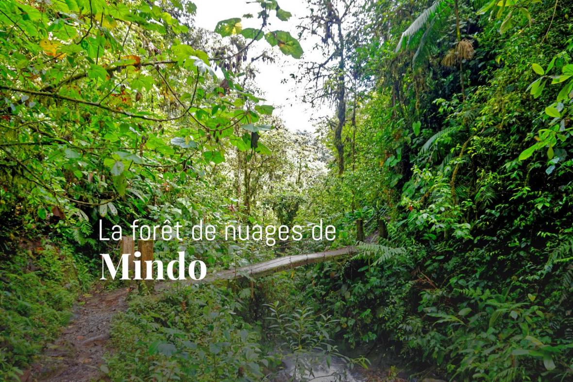 Découverte de Mindo en 1 jour – 2 nuits | Latitude voyages - Blog de voyage